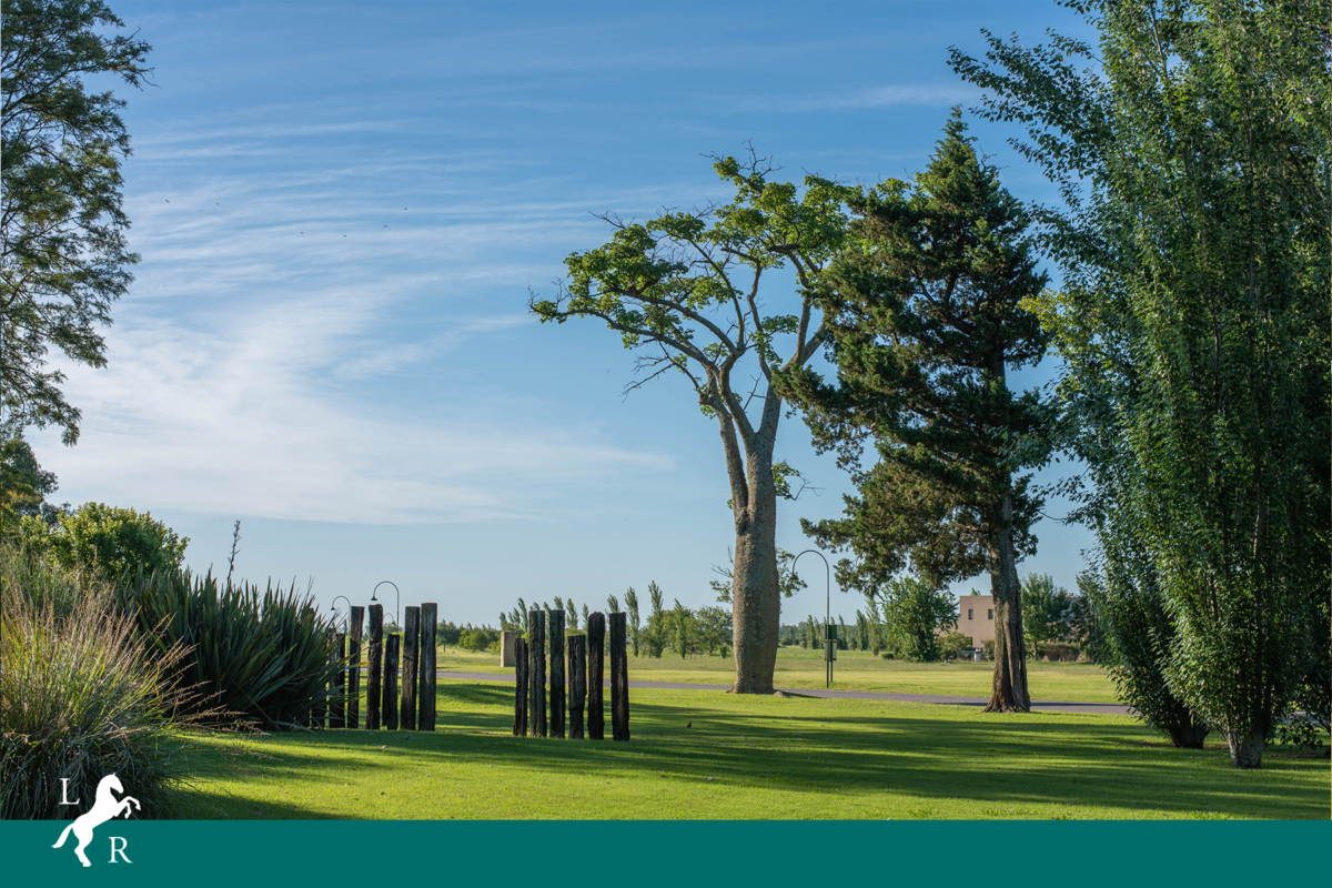 La Rinconada se expande con un proyecto educativo, deportivo y ...